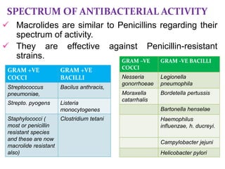 Macrolide antibiotics | PPTX