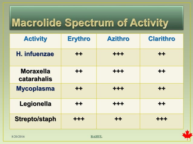 Macrolides | PPTX