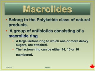 Macrolides | PPTX