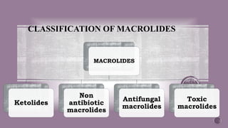 Macrolides | PPT