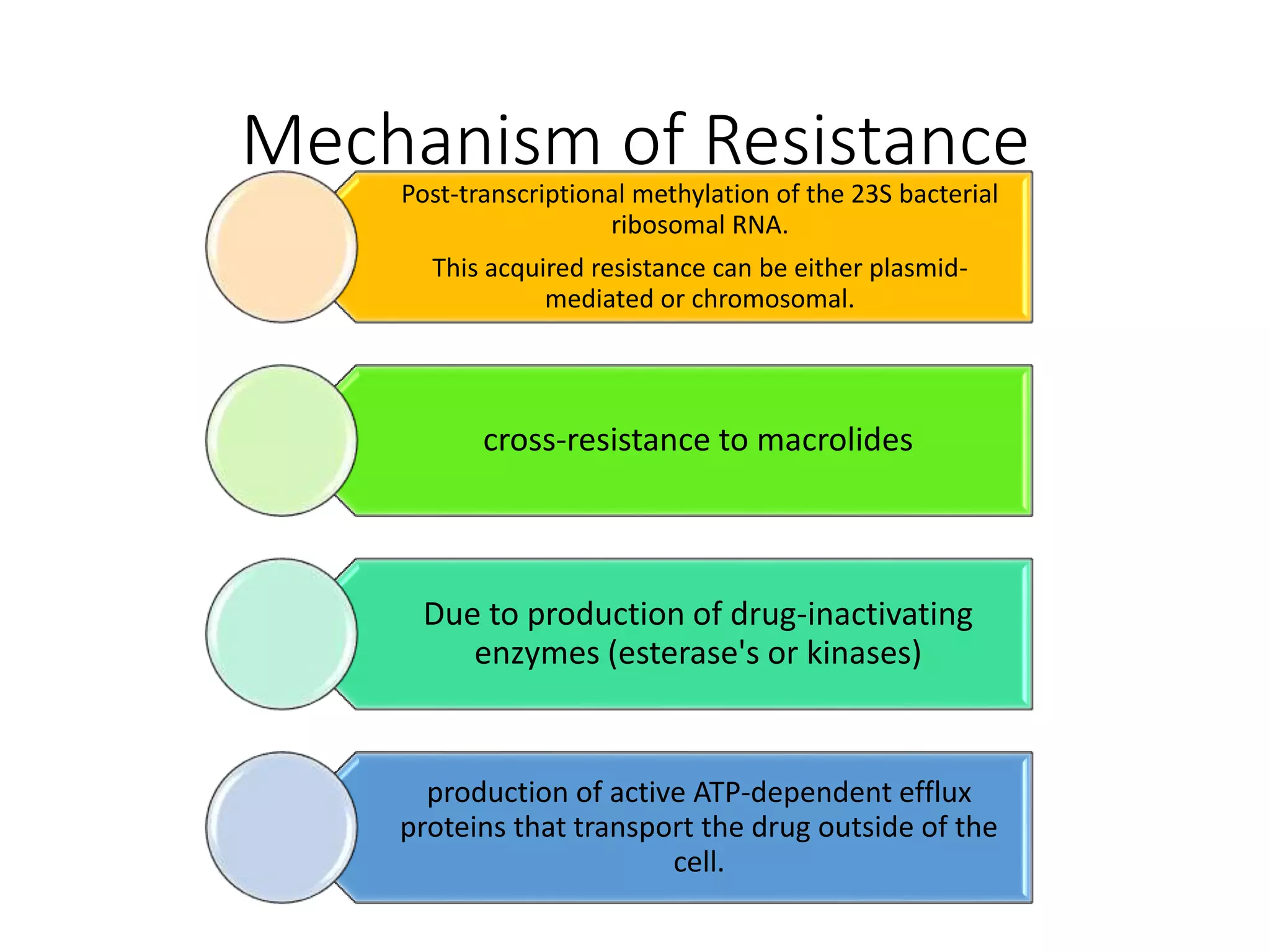 Macrolides antibiotics (with lincosamide) | PPTX