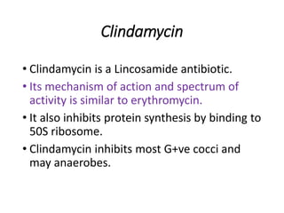 Macrolides antibiotics (with lincosamide) | PPTX