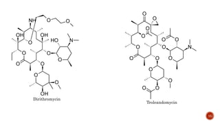 Macrolides | PPT