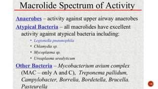 Macrolides | PPT