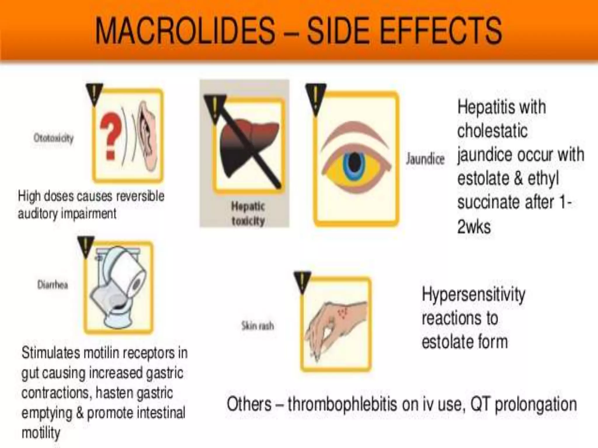 Macrolide antibiotics | PPT
