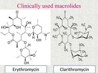 Macrolide antibiotics | PPTX