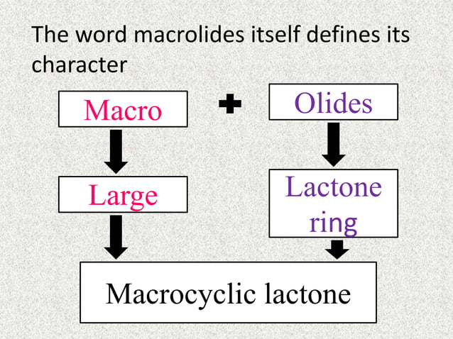 Macrolide antibiotics | PPT