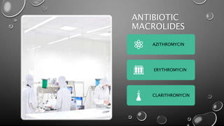 Macrolides | PPTX