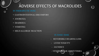 Macrolides | PPTX