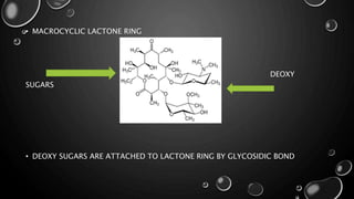 Macrolides | PPTX