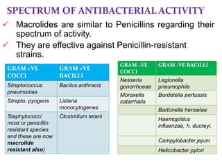 macrolides.pptx