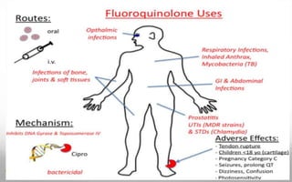 Quinolone & Fluoroquinolones | PPTX