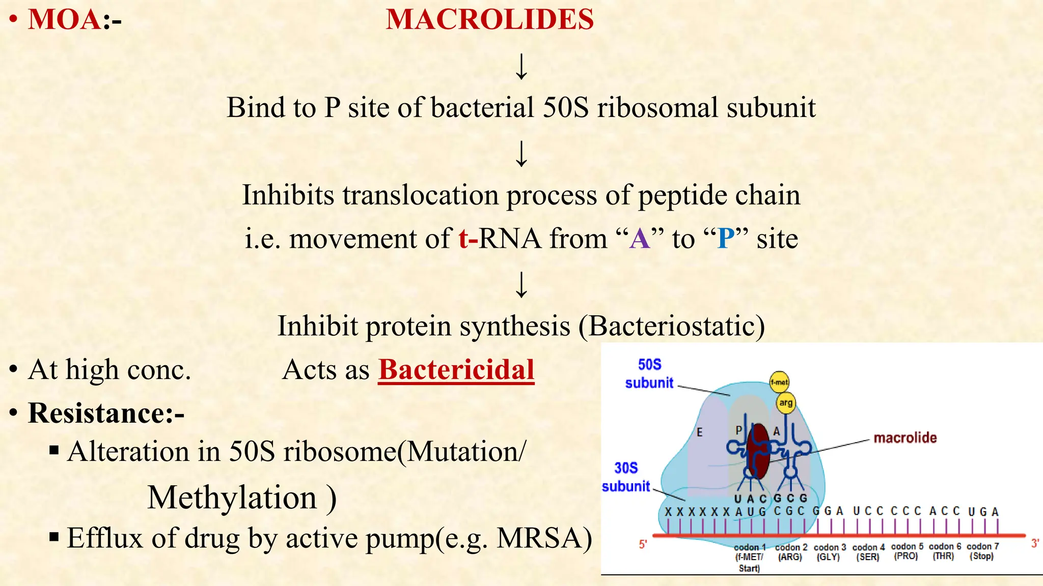 Macrolides Antibiotics.pptx