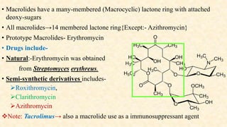 Macrolides Antibiotics.pptx