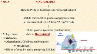 Macrolides Antibiotics.pptx