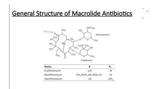 chemistry of macrolides antibiotics.pptx