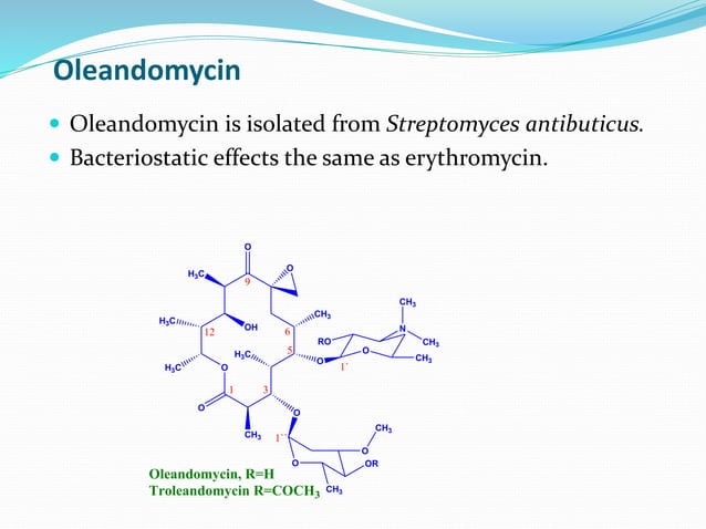 Macrolides and lincosamide | PPT