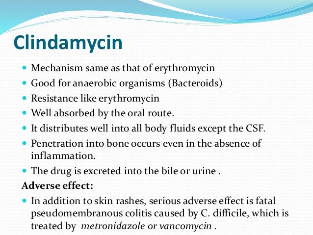Macrolides and lincosamide