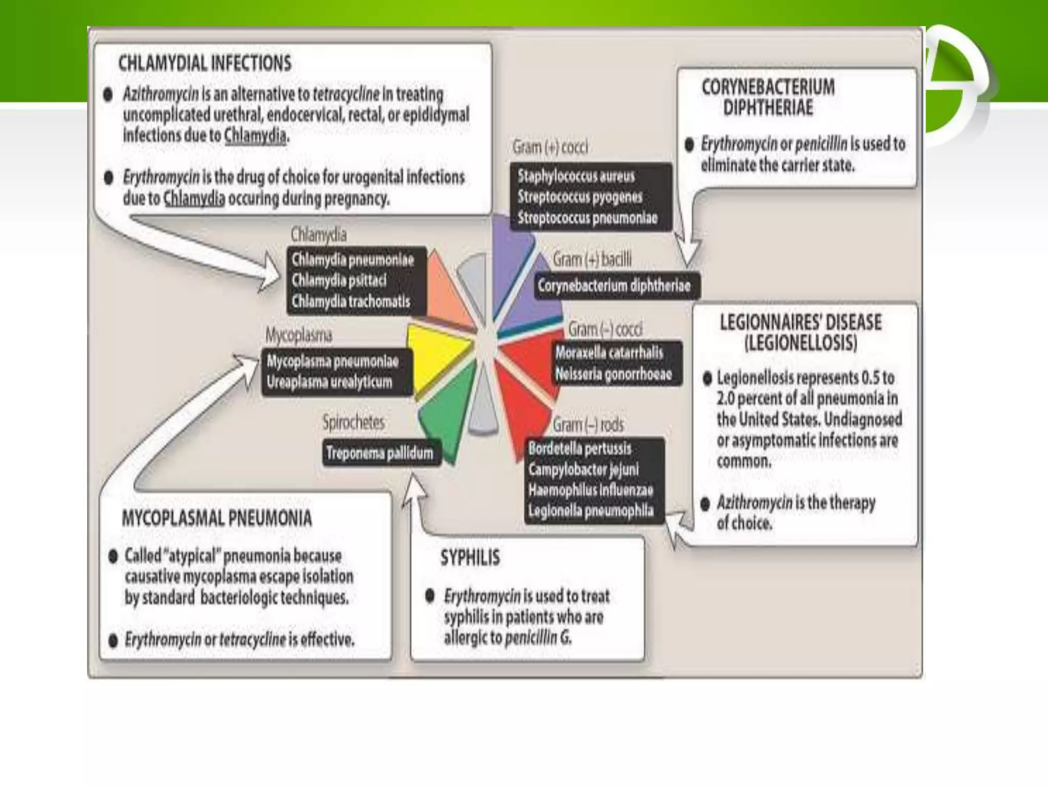 Antibiotic Macrolides and lincosamides history,classification,mechanism ...