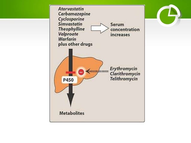 Antibiotic Macrolides and lincosamides history,classification,mechanism ...