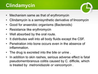 Antibiotic Macrolides and lincosamides history,classification,mechanism ...
