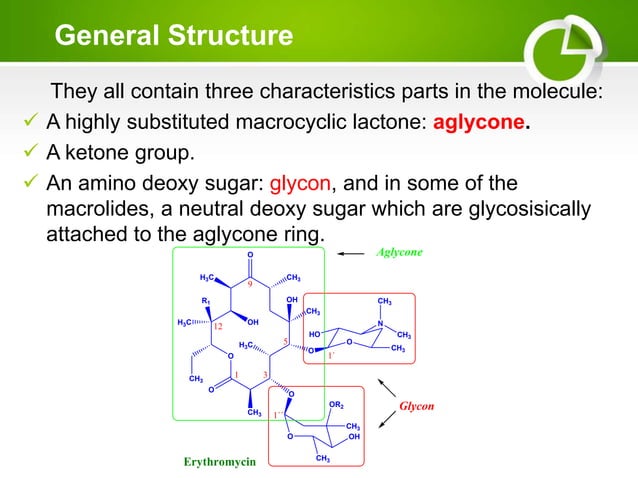 Antibiotic Macrolides and lincosamides history,classification,mechanism ...