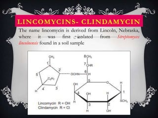 Antiobiotics - Macrolides and miscellaneous | PPT