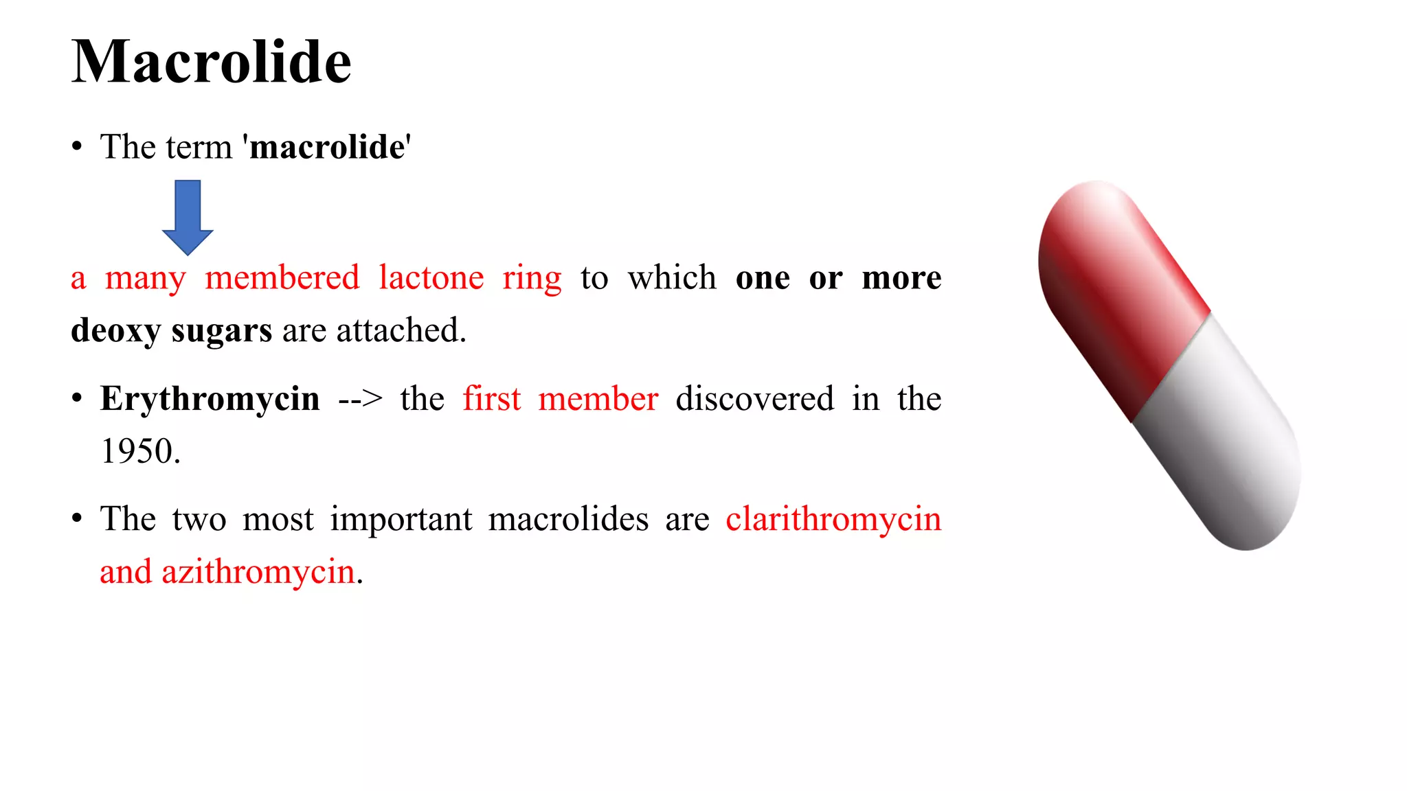 Macrolides.pdf