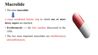 Macrolides.pdf