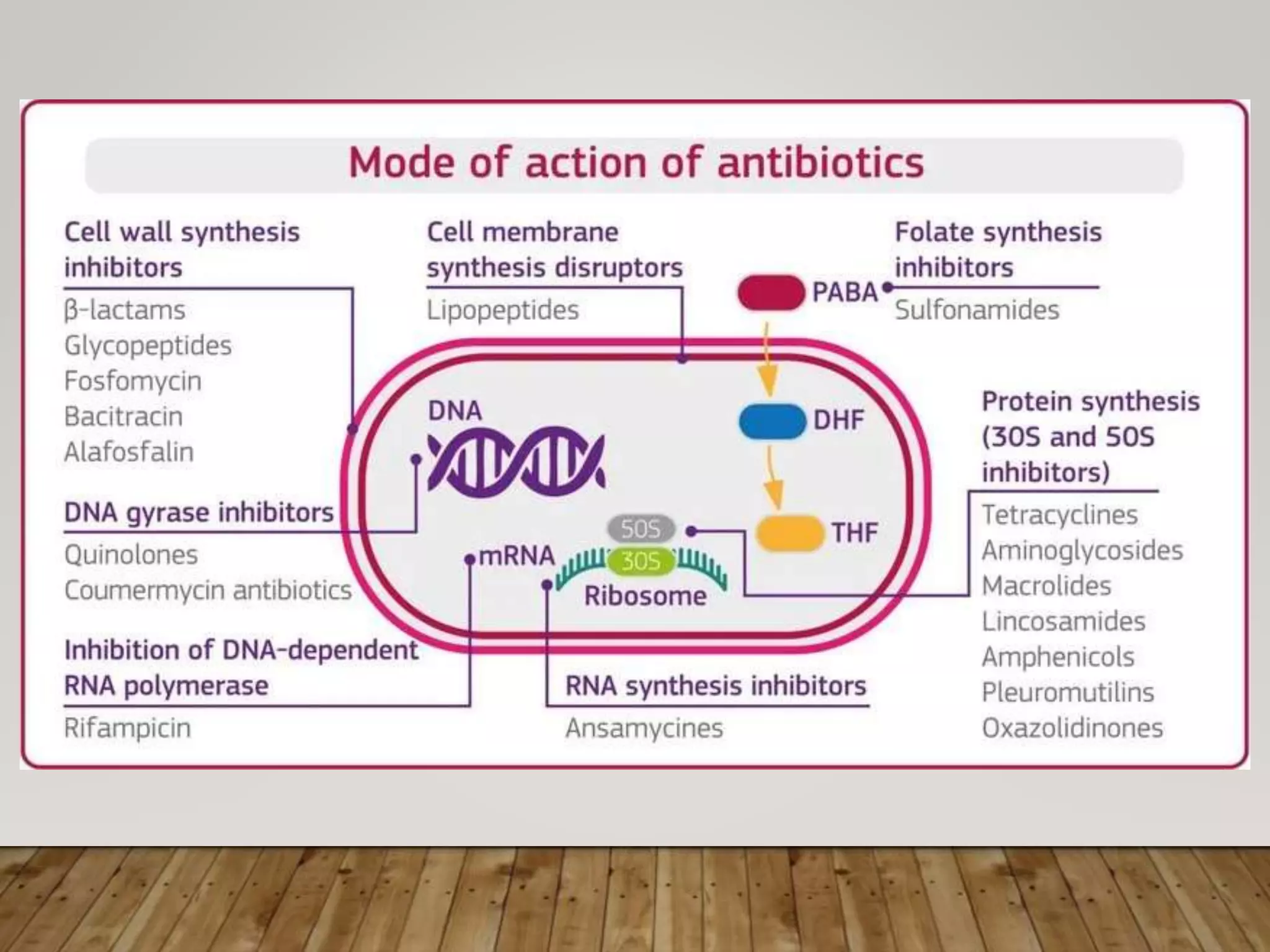 Macrolides, Fluoroquinolones and Broad spectrum antibiotics.pptx