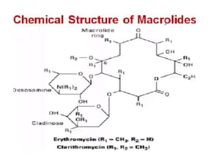 Macrolides ppt pharma | PPTX