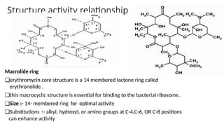 macrolides, Structure activity relation ship PRESENTATIONS.pptx
