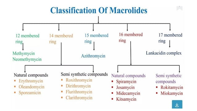 macrolides, Structure activity relation ship PRESENTATIONS.pptx