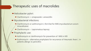 Macrolides | PPTX