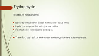 Macrolides | PPTX