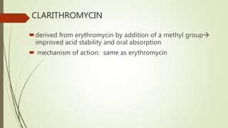 Macrolides | PPTX
