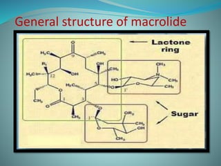 Macroloid antibiotics | PPT
