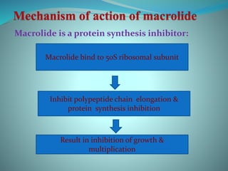 Macroloid antibiotics | PPTX