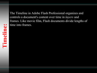 Macromedia flash presentation2 | PPSX