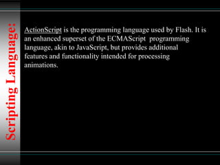 Macromedia flash presentation2 | PPSX