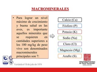 Macrominerales (cl y s) | PPTX