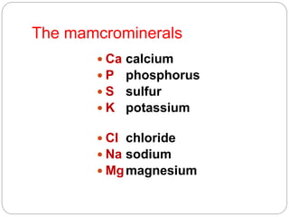 Macro minerals | PPTX