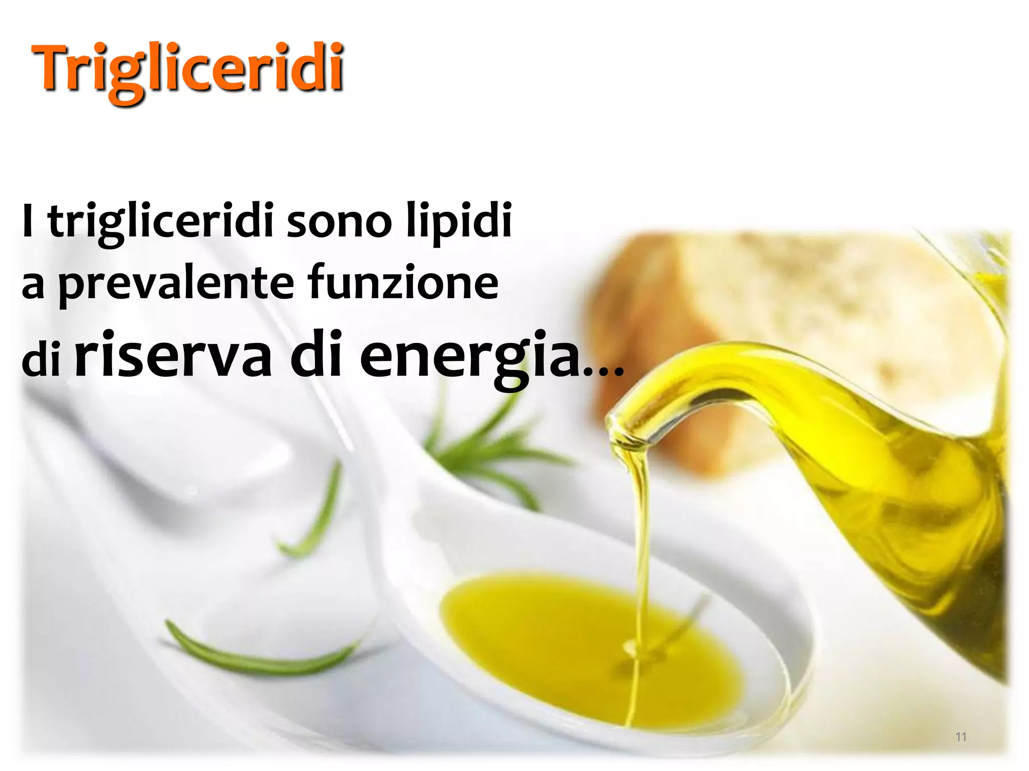 Biomolecole 3. lipidi | PDF