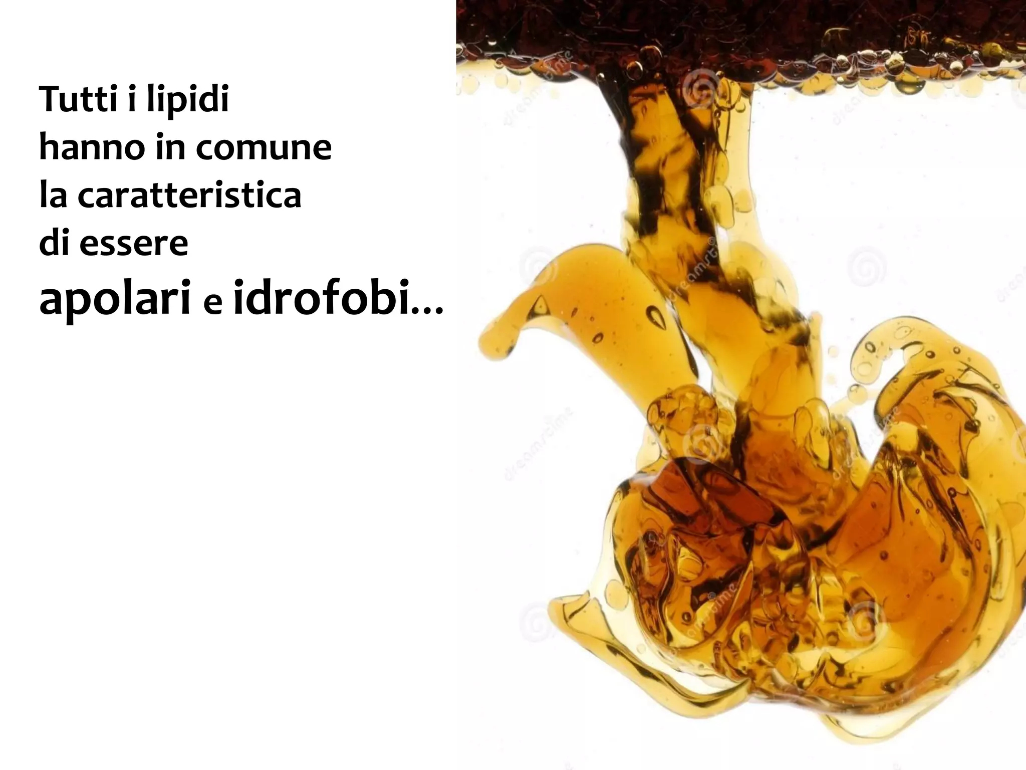 Biomolecole 3. lipidi | PDF