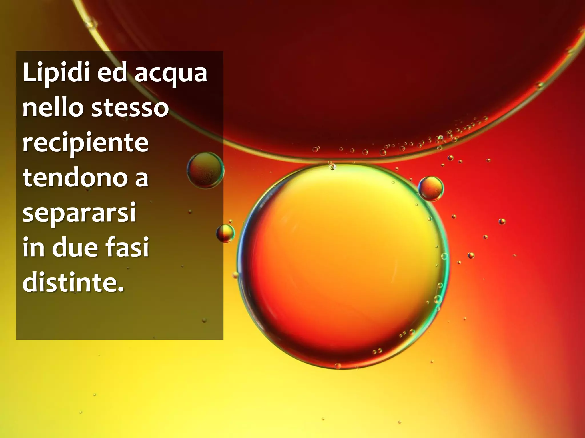 Biomolecole 3. lipidi | PDF