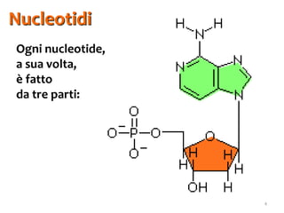 Biomolecole 5. acidi nucleici | PDF