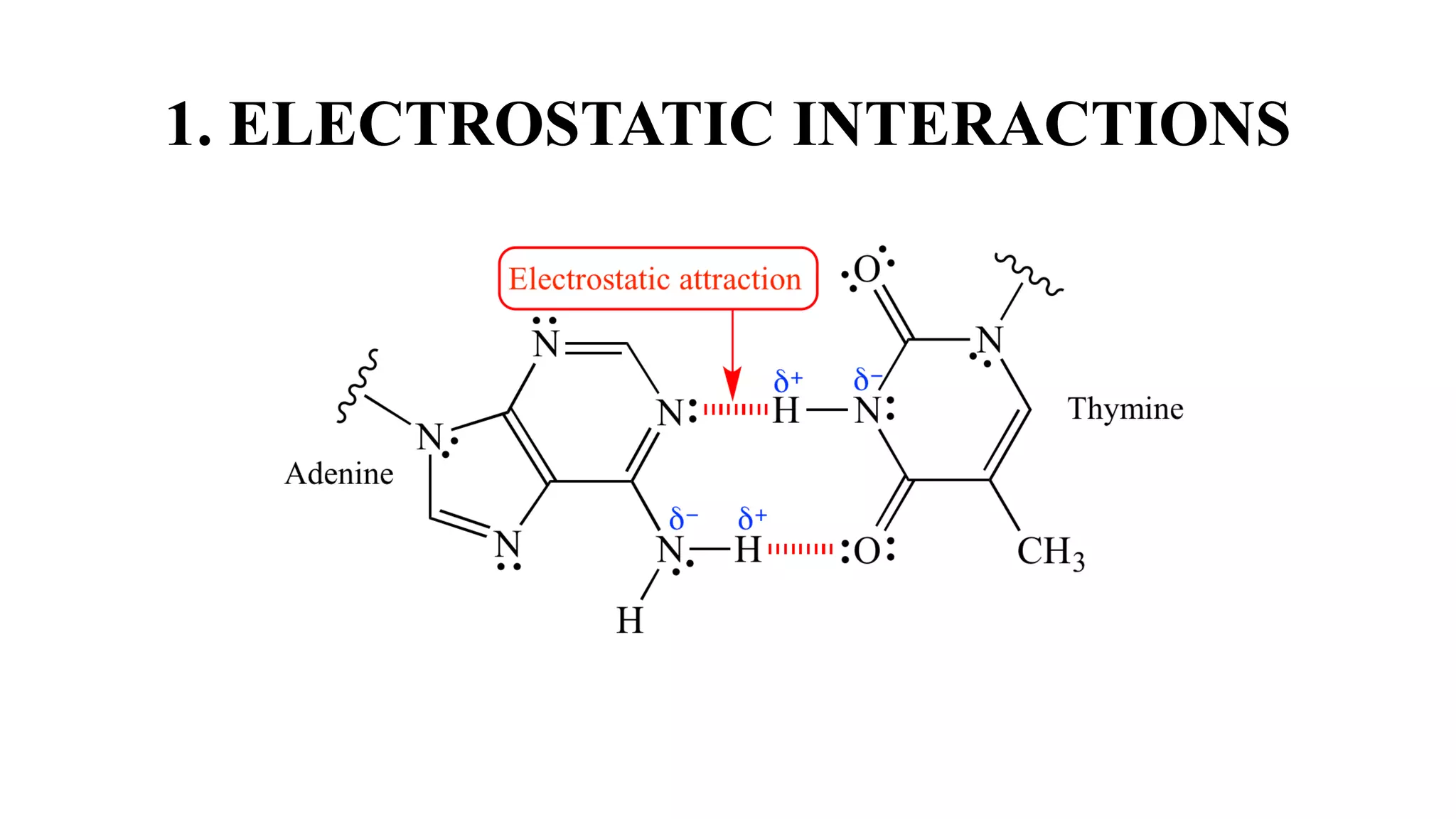 Macromolecular Interaction Pdf