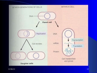 Macromolecular synthesis | PPT