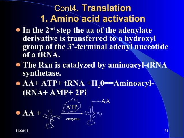 Macromolecular synthesis | PPT