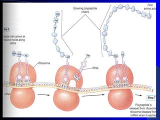 Macromolecular synthesis | PPT